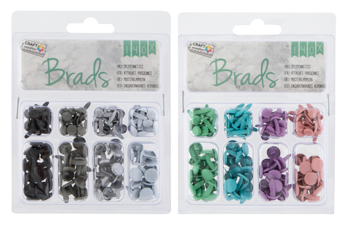 Splitpennen 140 Stuks 2 Assorti | Kantoorartikel | 1407242 | Bruna