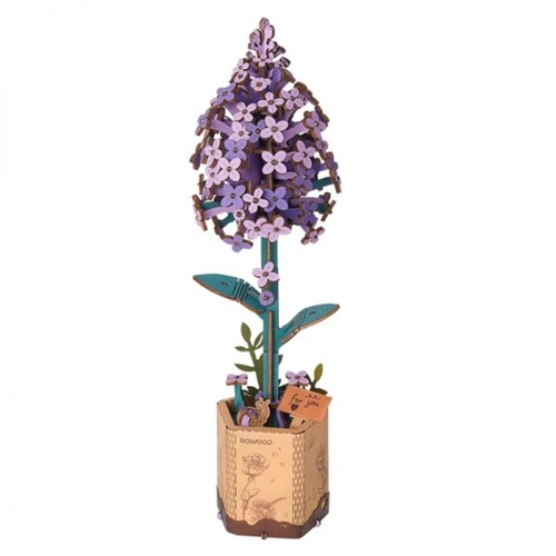 Robotime Lilac. Houten Miniatuur Modelbouwpakket | Speelgoed | 1434313 ...