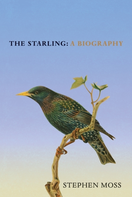 The Starling, Stephen Moss | Boek | 9781529908282 | Bruna