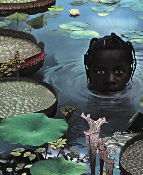 Ruud van Empel - 25 Years of Photo Works 1995-2020, Idea Books B.V ...