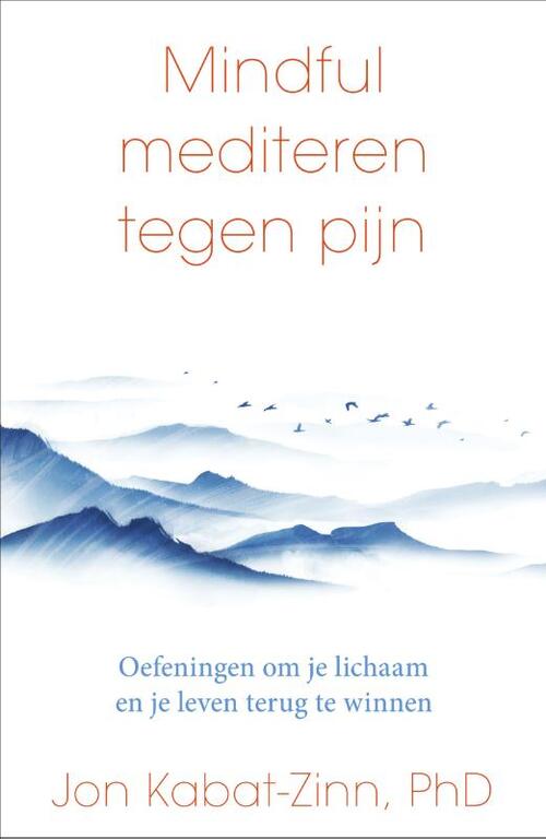 Mindful mediteren tegen pijn | Boek | 9789000388547 | Bruna