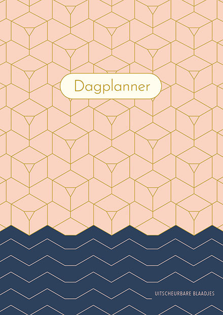 Dagplanner - Pink Patterns | Overig | 9789044758870 | Bruna