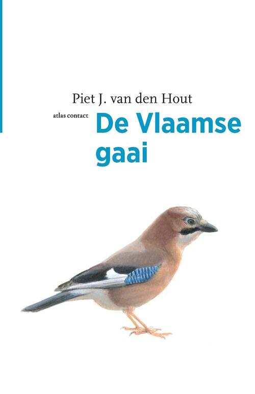 De Vlaamse gaai, Piet J. van den Hout | Boek | 9789045054544 | Bruna