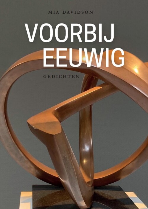 Voorbij eeuwig, Mia Davidson | Boek | 9789083259567 | Bruna