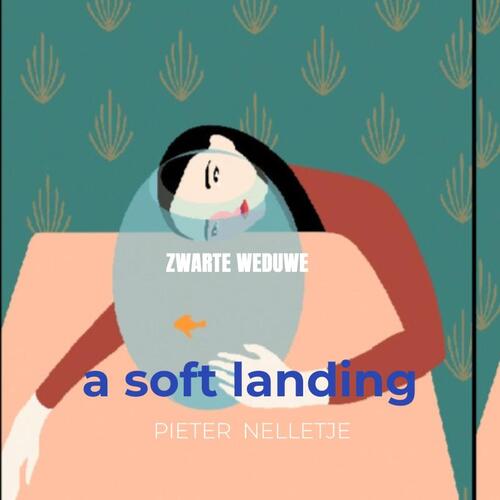 A Soft Landing, Pieter Nelletje | Boek | 9789403835631 | Bruna