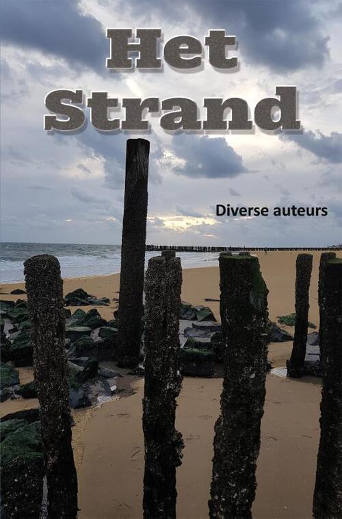 Het strand | Boek | 9789462666795 | Bruna