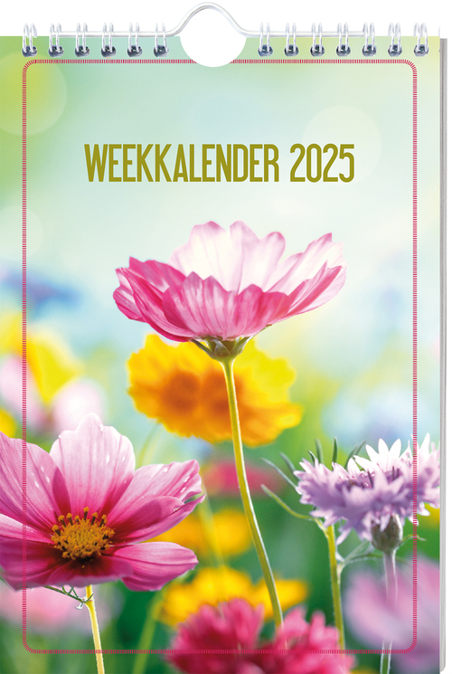 Weekkalender | Spiraalgebonden | 9789464327229 | Bruna