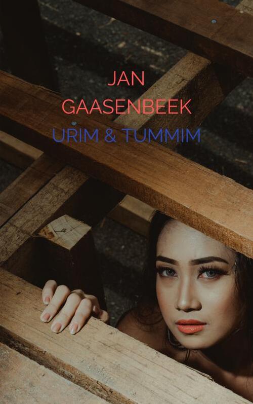 Urim & Tummim, Jan Gaasenbeek | Boek | 9789464655308 | Bruna