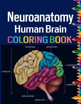 Neuroanatomy Human Brain Coloring Book: Colorful introduction to the ...